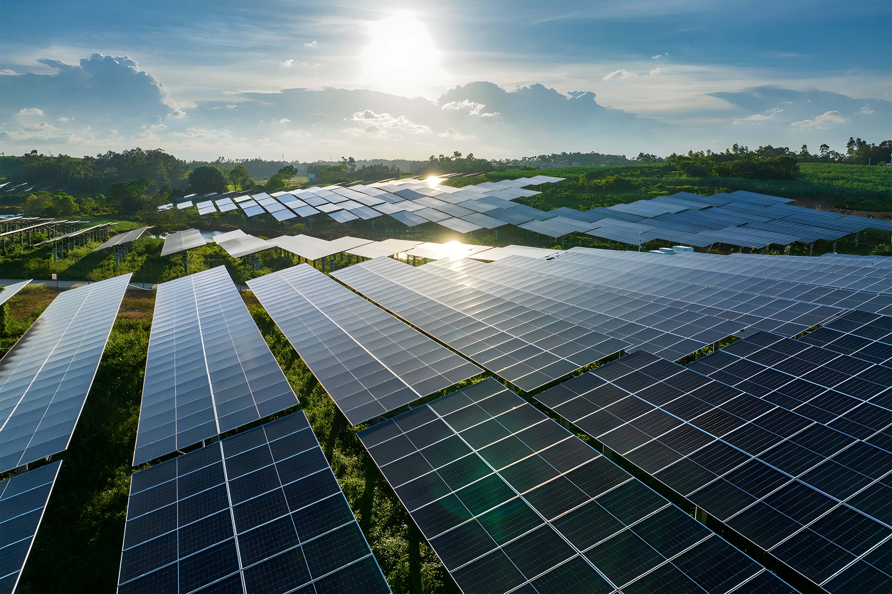 The Rise of Solar Power in Pakistan